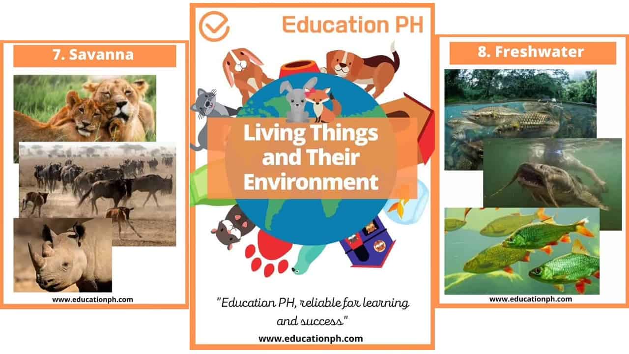 DepEd assures of safety protocols in learning modules delivery